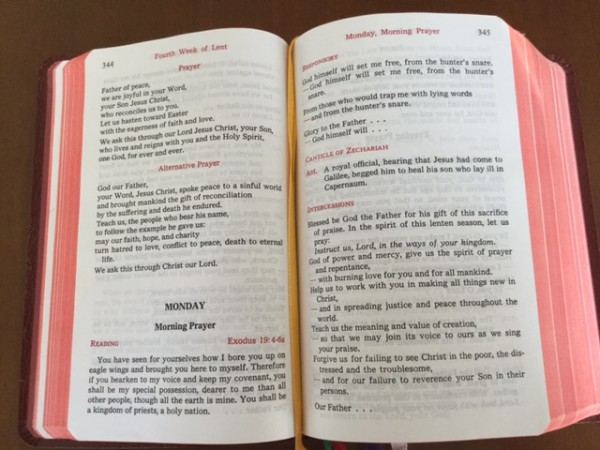A Beginner's Guide to Praying the Liturgy of the Hours - Philip Kosloski