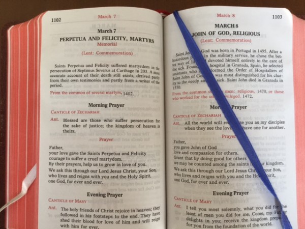 A Beginner's Guide to Praying the Liturgy of the Hours - Philip Kosloski