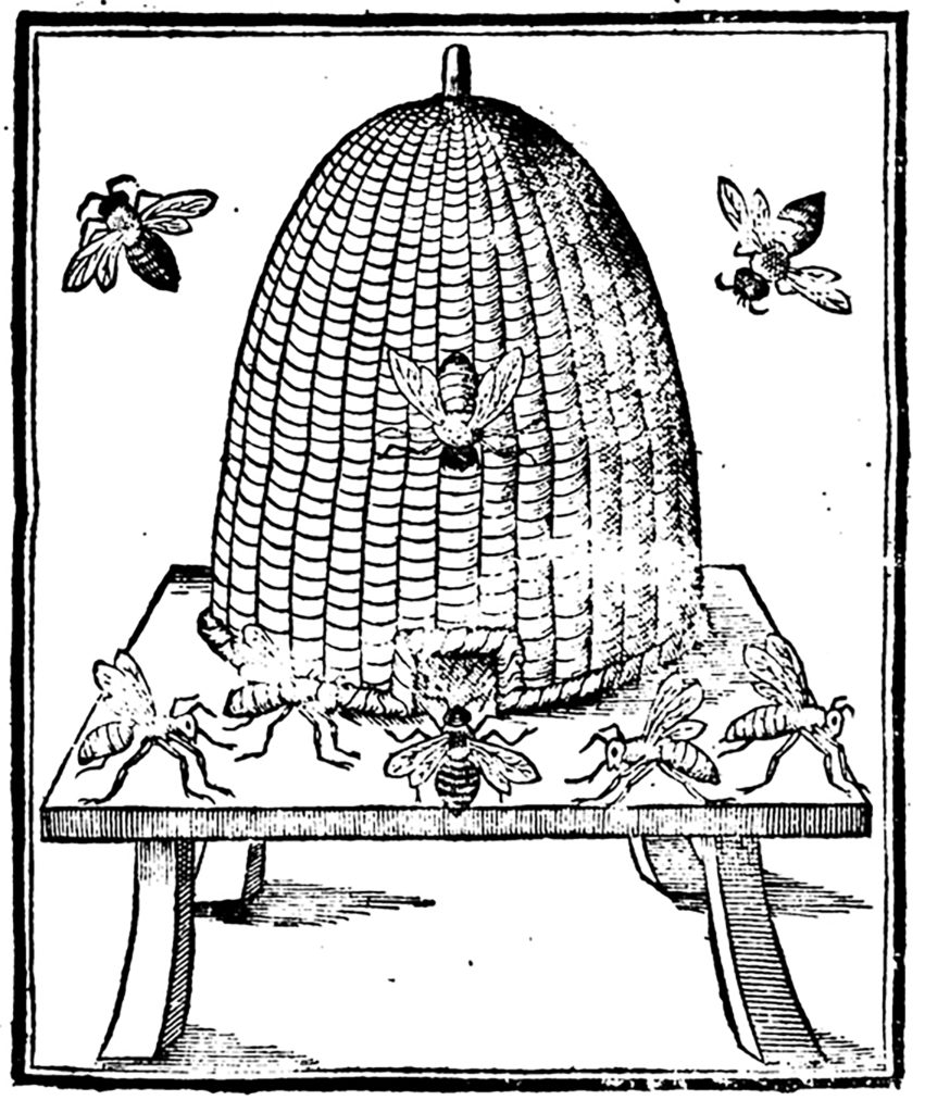 Why did the monks on Skellig Michael make huts shaped like beehives? - Philip Kosloski